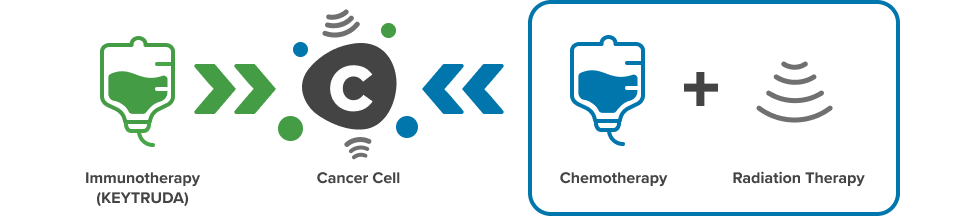 FIGO 2014 Stage 3 to 4A Cervical Cancer Treatment Options With KEYTRUDA ...