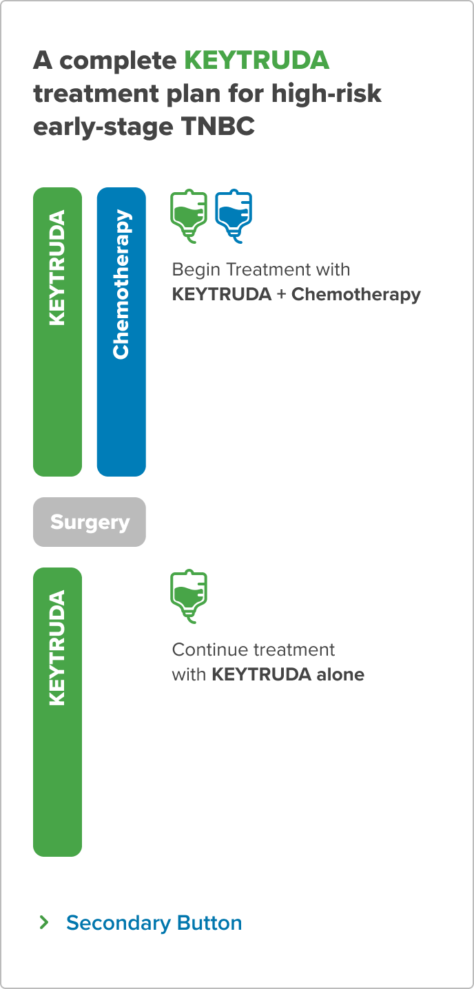 Neoadjuvant and Adjuvant Treatment Option for Early-Stage Non–Small ...